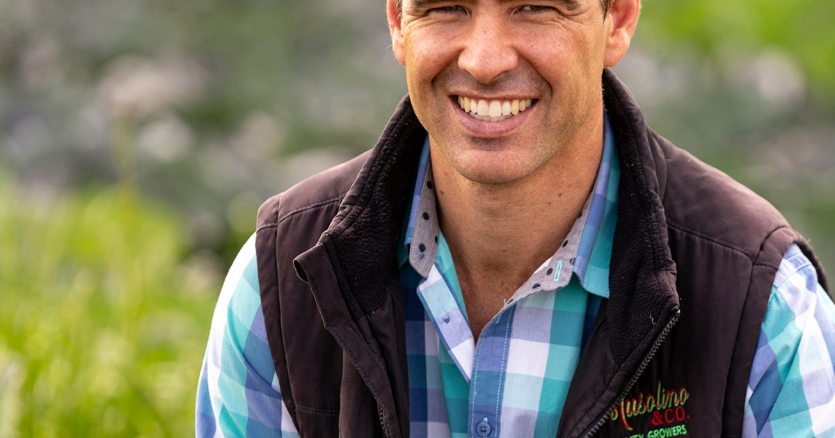 Growth on the Plains. · City of Playford