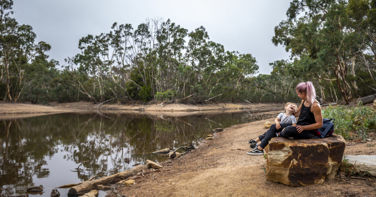 Playford News Magazine · City of Playford