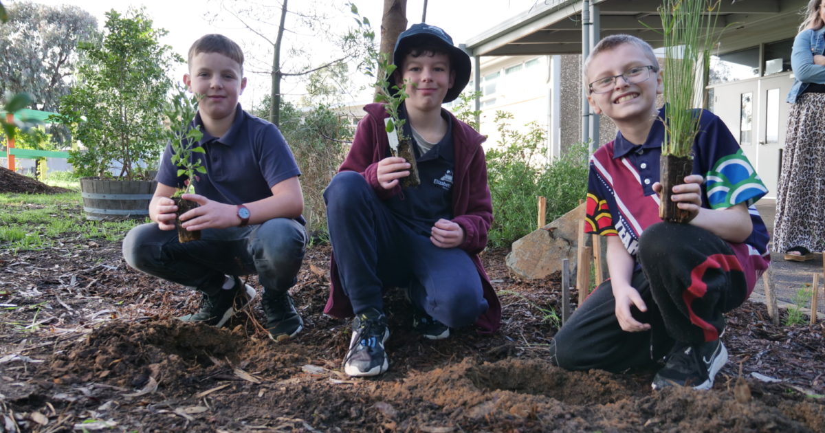Playford gifts 300,000th native plant · City of Playford
